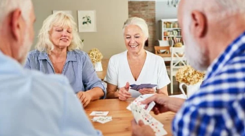 Stop The Bus Card Game: How To Play, Rules, And Tips For Beginners