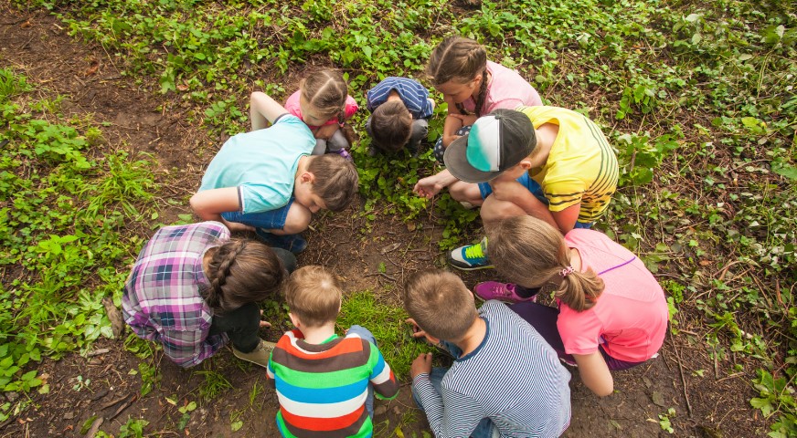 How to Play Hot Potato Game? | Rules and Strategies