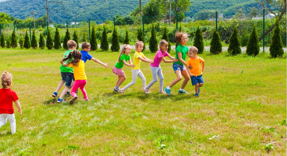 Stop The Bus Card Game: How To Play, Rules, And Tips For Beginners